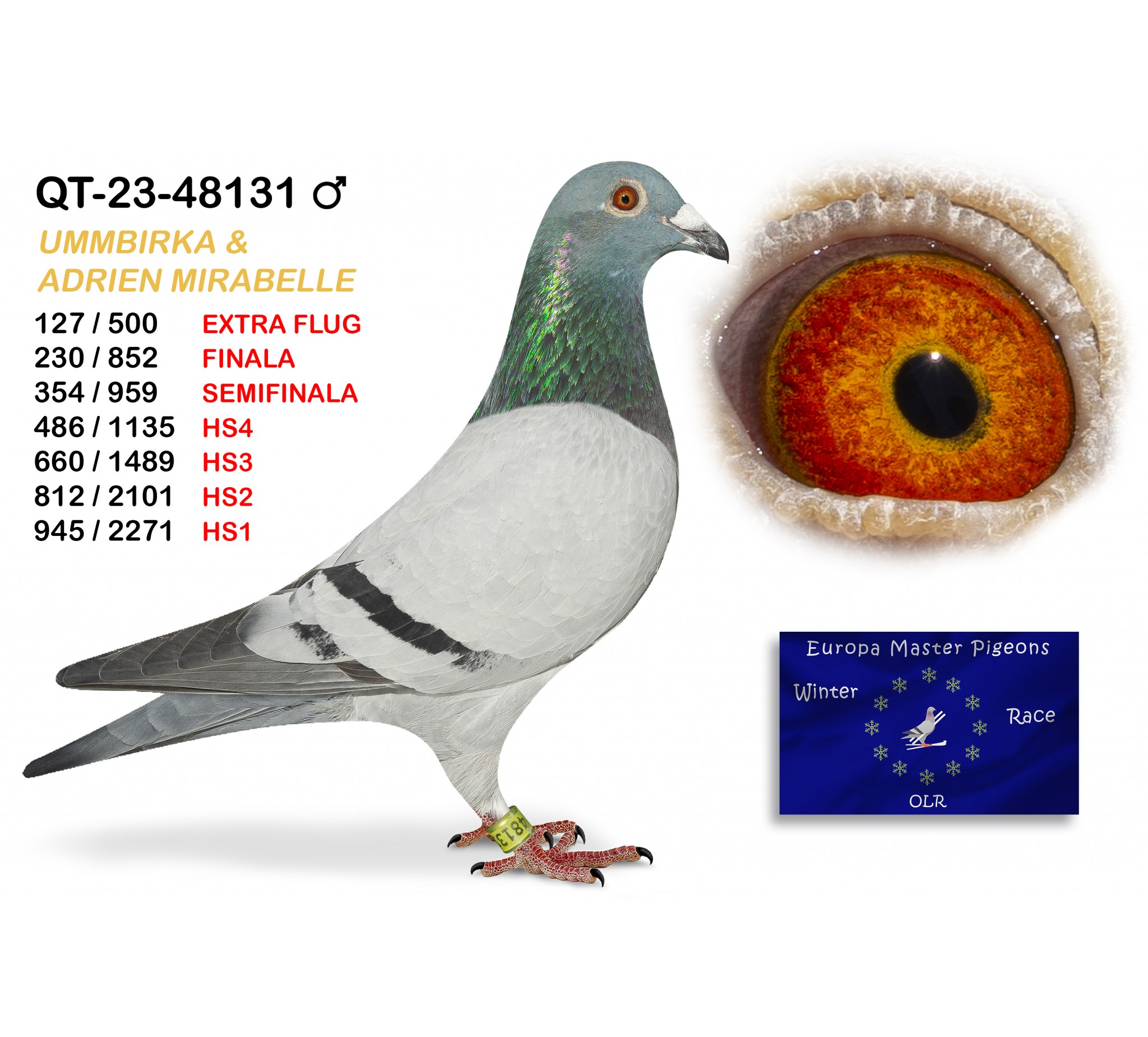 (♂️) 230th place - QT-23-48131 UMMBIRKA & ADRIEN MIRABELLE